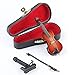 Amazon.com: Dselvgvu Wooden Miniature Violin with Stand,Bow and Case ...