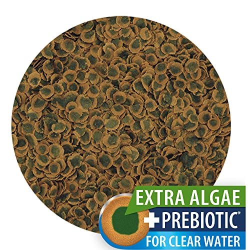 Tetra Pro Algae Multi-Crisps - Premium fish food with algae concentrate ...