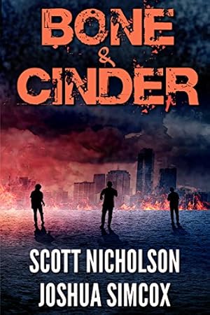 Afterburn: A Post-Apocalyptic Thriller (Next Book 1) - Kindle edition ...