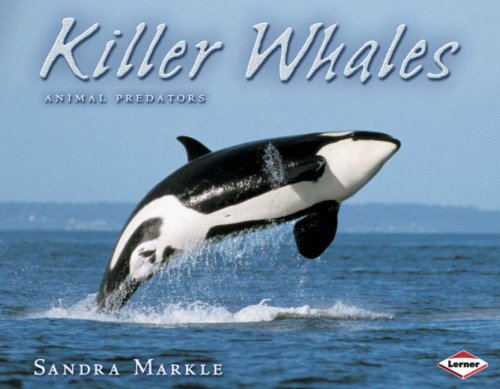 Buy Killer Whales: No. 3 (Animal Predators) Book Online at Low Prices ...