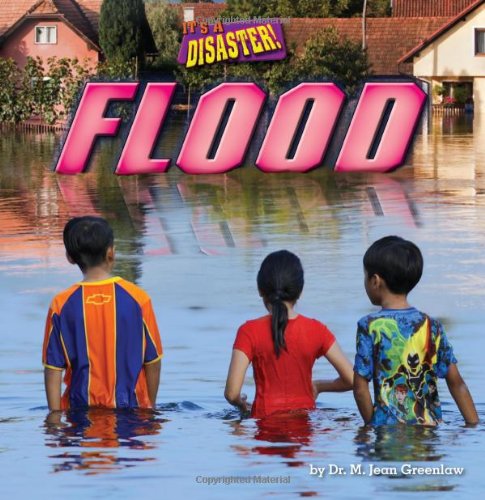 Flood (It's a Disaster!) : Greenlaw, M. Jean, Dr., Doswell III, Charles A., Dr.: Amazon.co.uk: Books