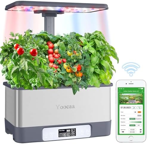 Hydroponic System Fur Zuhause