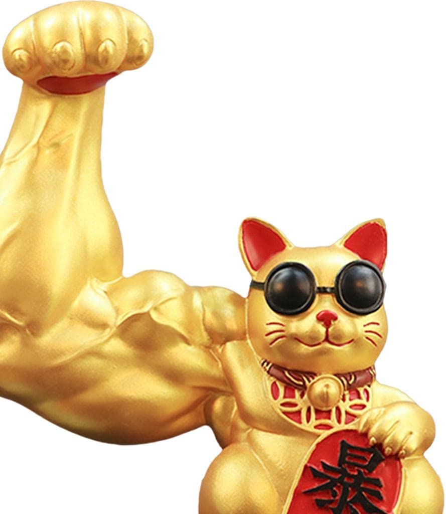 Gato Mas Musculoso Del Mundo