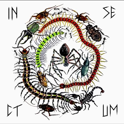 Amazon MusicでNTSHのI N S E C T V Mを再生する