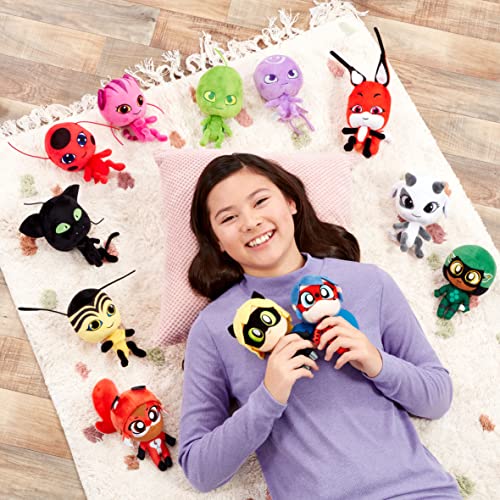 Miraculous Chibi Cat Noir Plush Toy From Miraculous Tales Of Ladybug ...