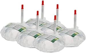 Amazon.com: Germstar Instant Hand Sanitizer Citrus 32 Oz Refill for ...