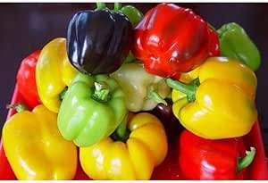 Amazon.com : Mini Bells Mix Bell Pepper Seeds (25 Seeds) : Patio, Lawn ...