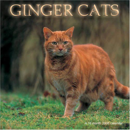 Ginger Cats 2008 Wall Calendar: Magnum Publications: 9781602540132 ...