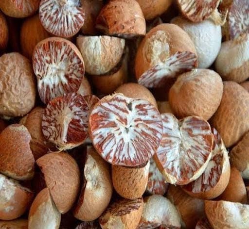 ARIYA Arecanut VTLAH -1 Vittal Hybrid-1 Variety Betel Nut Dwarf Live ...