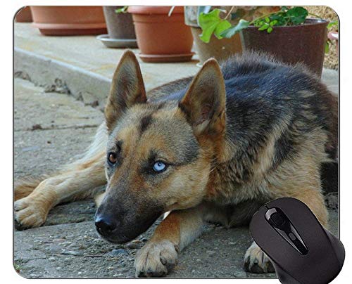 LAMS German Shepherd Dog Mouse Pad,Dog Comfortable Mouse Mat for Gaming ...