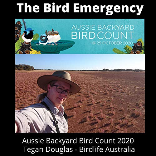 Amazon.com: 017 Australian Bird Week and the Aussie Backyard Bird Count ...