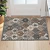 Amazon.com: Hedlive Washable Rugs for Entryway, 2x4 Rug Soft Kitchen ...