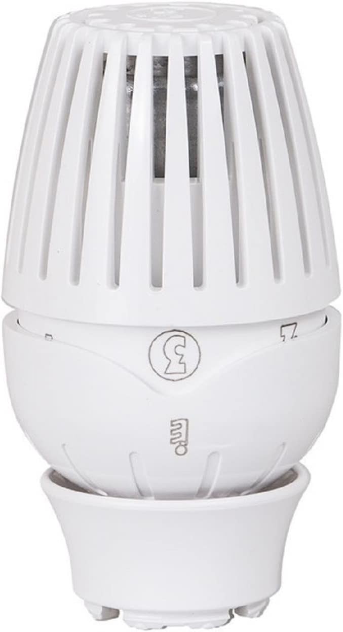GIACOMINI Thermostatic Radiator Head with Liquid Sensor R460X001 ...