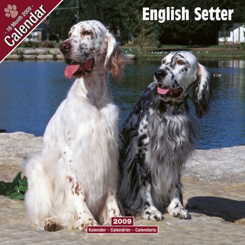 2009 English Setter Wall Calendar: Avonside Publishing: 9781846626586 ...