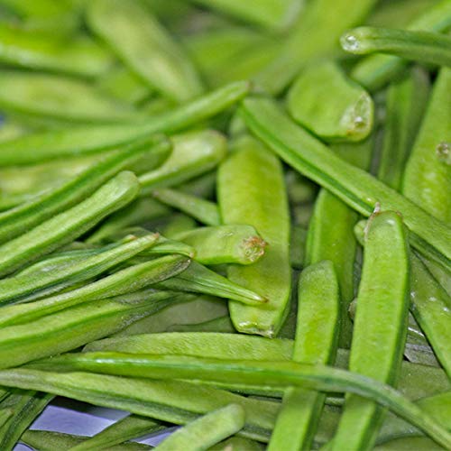 Creative Farmer Vegetable Seeds Siam Bean Seeds - Guar Bean Seeds Seeds ...