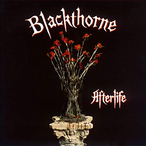 Afterlife: Amazon.de: Musik-CDs & Vinyl