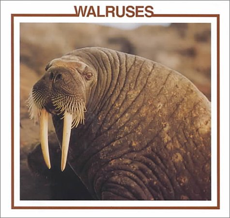 Walruses (Sea Mammal Discovery Library): Palmer, Sarah: 9780865923584 ...