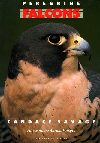Peregrine Falcons : Savage, Candace: Amazon.in: Books