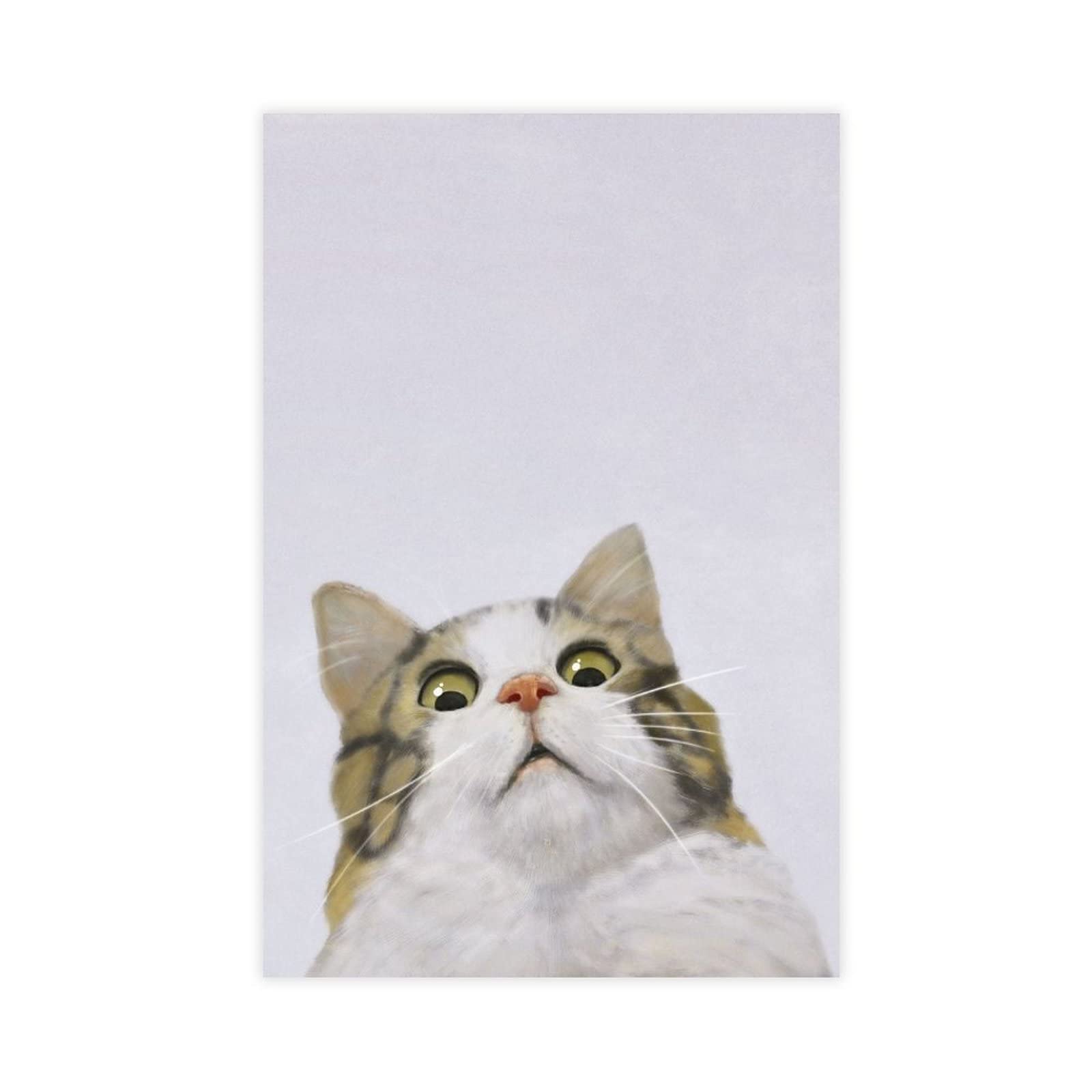 Scary Cat Meme