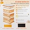 Amazon.com : VEVOR Bee Hive 10 Frame Bee Hives Starter Kit, Beeswax Coated Fir Wood, 2 Deep + 1 ...