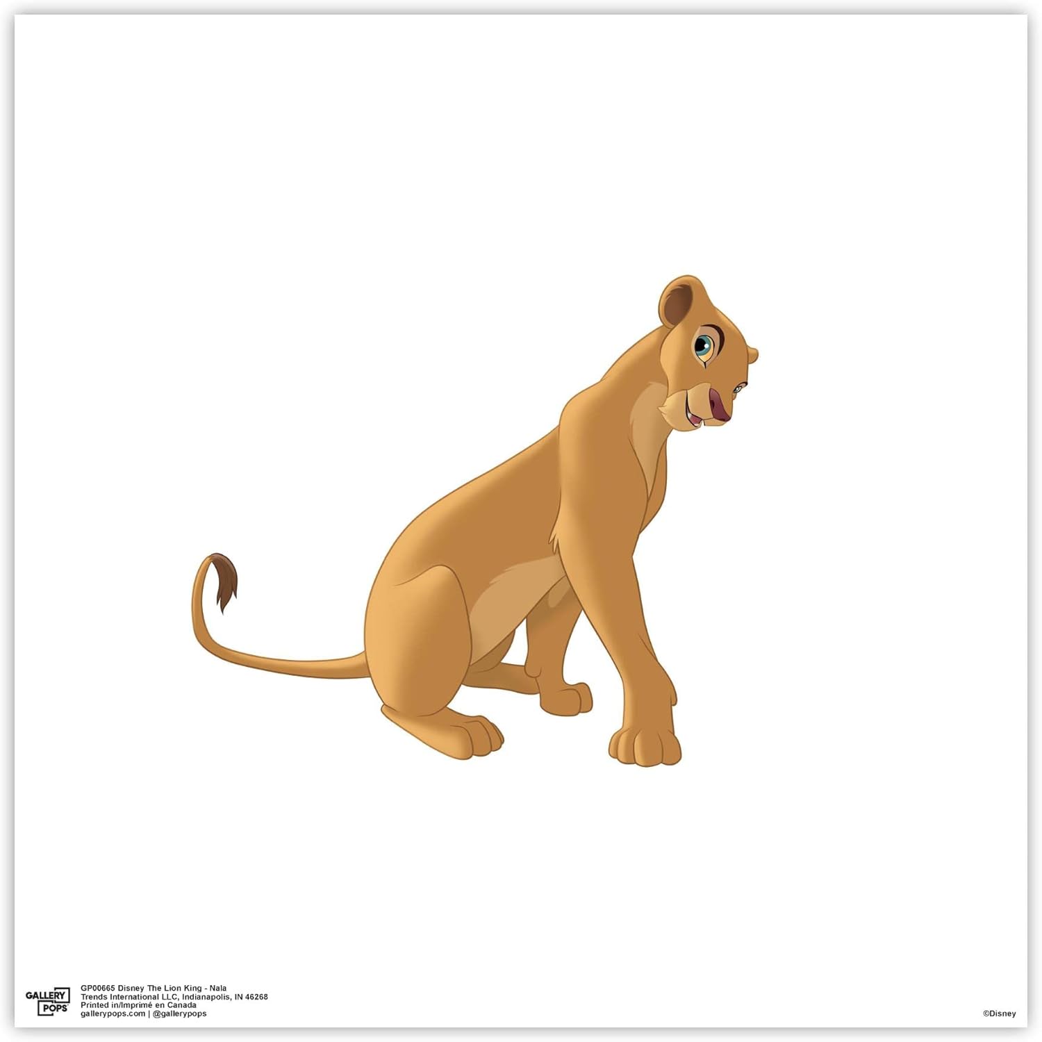 Amazon.com: Trends International Gallery Pops Disney The Lion King ...