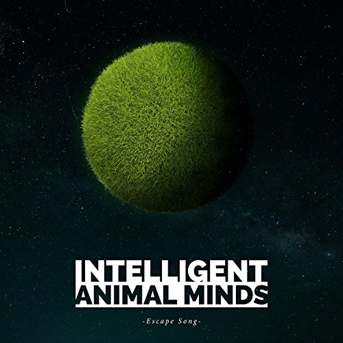 Escape Song [Explicit] by Intelligent Animal Minds on Amazon Music ...