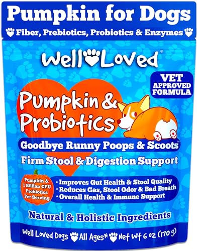 10 Mouthwatering Pumpkin-infused Dog Foods to Boost Your Pup's Health ...