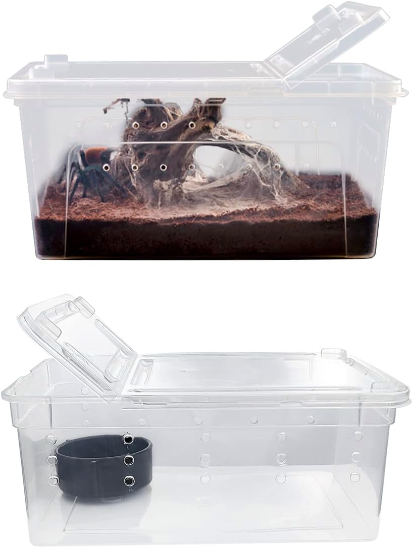 Amazon.com : 2 Pieces Reptile Transport Container Box Plastic Reptile ...