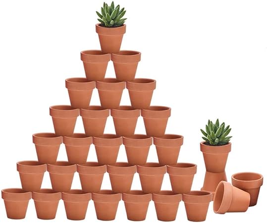 Amazon.com: Riseuvo 32pcs 2" Small Mini Terracotta & Clay Pot Planter ...