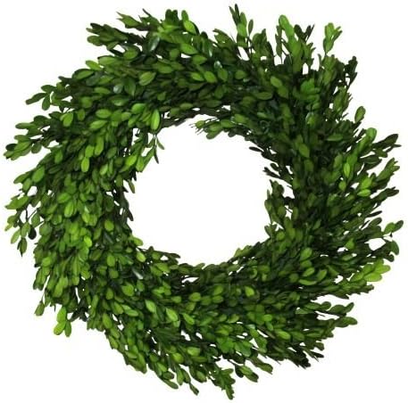 Amazon.com: Teters Floral Products Preserved Collection 22 in. Boxwood ...