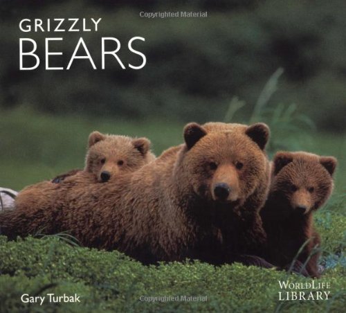 Grizzly Bears (World Life Library): Turbak, Gary: 9780896583344: Amazon ...
