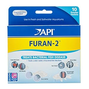 Cory Catfish Has White Fungus? [Causes And Treatment] - eFishkeeping