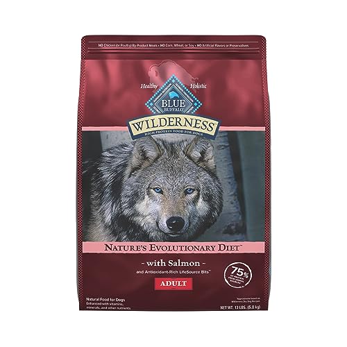 10 Best Affordable Alternatives to Expensive Dog Food: A Comprehensive ...