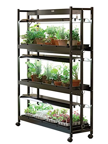Best Growing Shelves With Lights: The 5 Best Growing Shelves For Plants