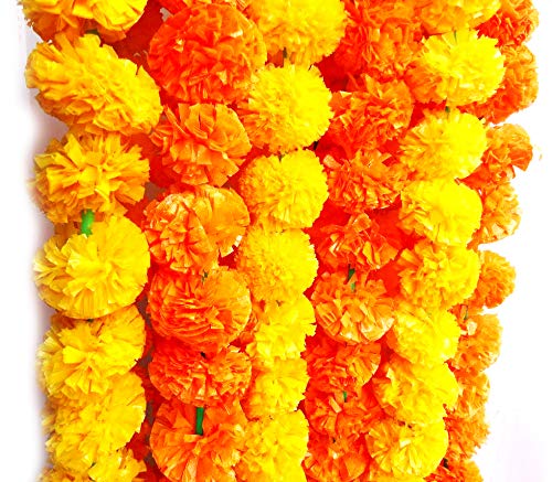 Plants and Home decor's Amazon Page