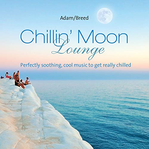 Amazon.com: Chillin' Moon Lounge (Perfectly soothing, cool music to get ...
