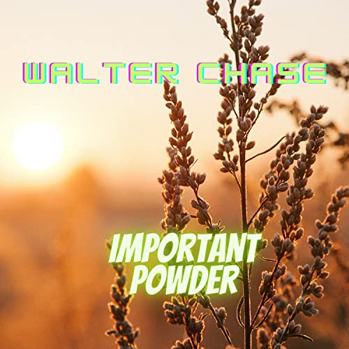 Amazon MusicでWalter ChaseのImportant Powderを再生する