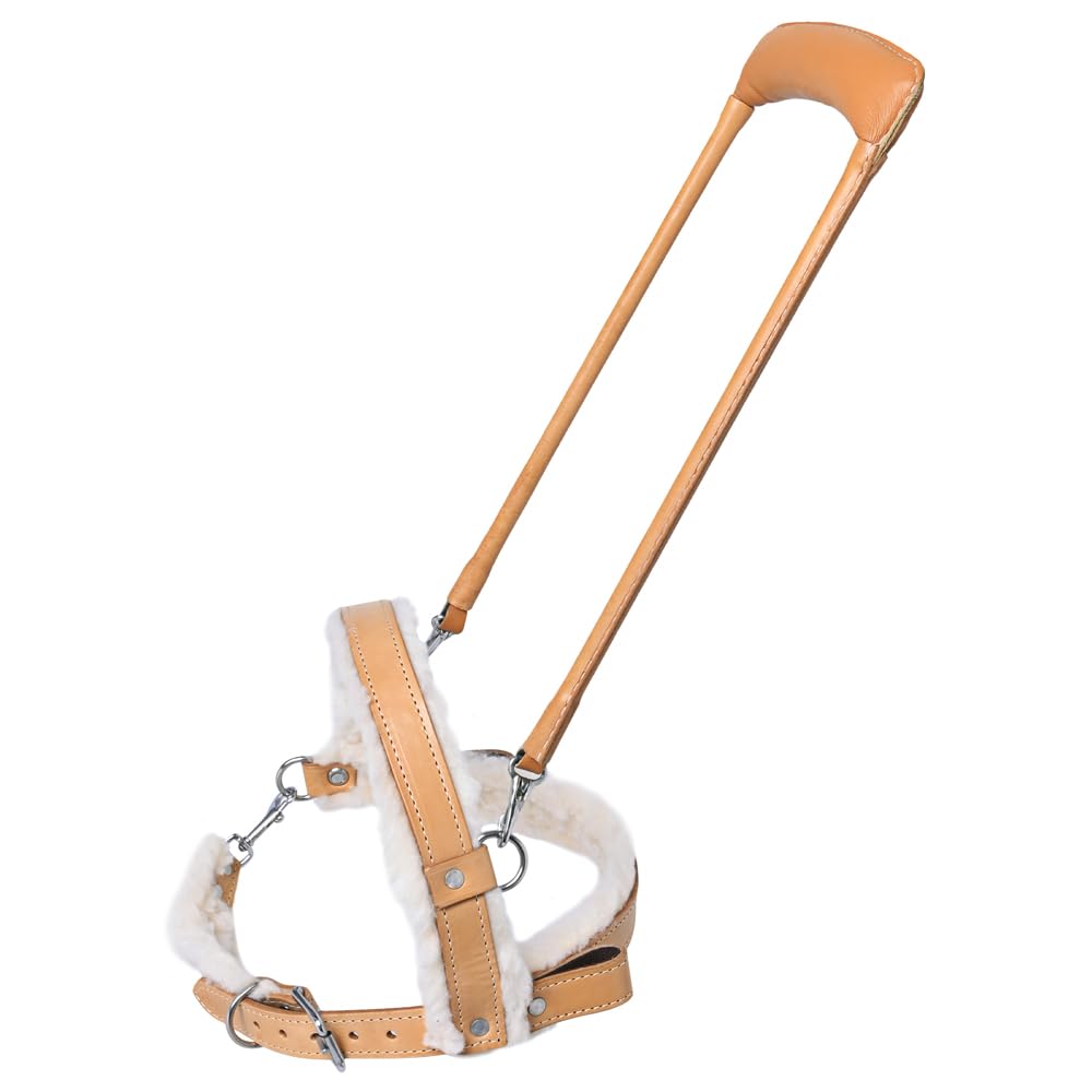 Seeing Eye Dog Harness