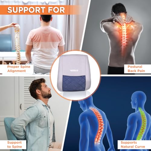 VISSCO Smart Orthopaedic Back Rest,Designed for Back Pain Relief ...