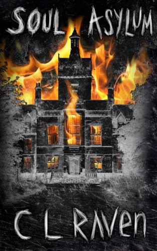 Soul Asylum: Raven, C L, Ashcroft, Ryan: 9781479334087: Amazon.com: Books