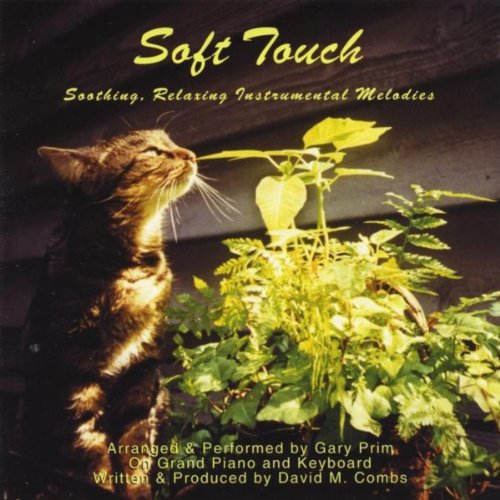 Amazon Music Unlimited - Gary Prim 『Soft Touch』