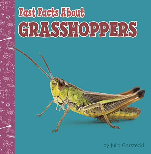Digital Grasshopper Life Cycle Activities for Kids - I Teach Too