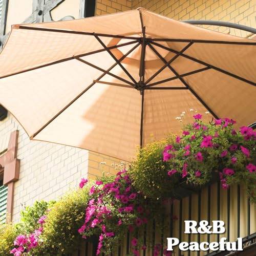 Amazon.co.jp: R&B Peaceful : Luna Ray: デジタルミュージック