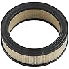 Amazon.com : KOHLER 235116-S Engine Air Filter For M8, K181N/L And K241 ...