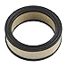 Amazon.com : KOHLER 235116-S Engine Air Filter For M8, K181N/L And K241 ...