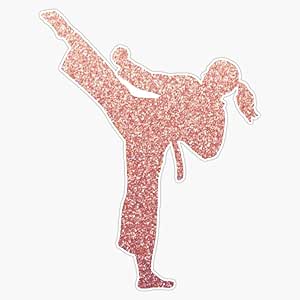 Amazon.com: Magnet Girls Karate Rose Gold Pink Girl Karate Vinyl Decal ...