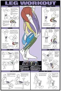 Amazon.com: ALGRA Leg Workout 24" X 36" Laminated Chart : Sports & Outdoors
