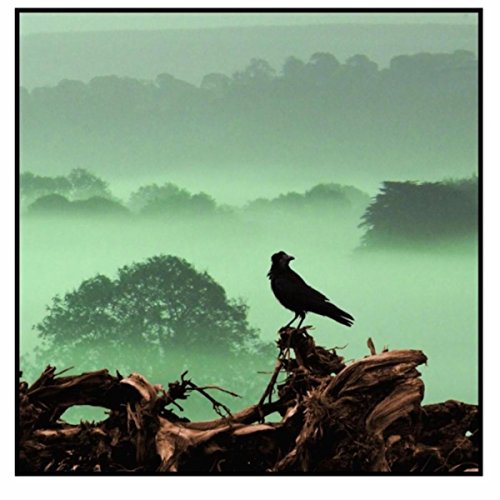 Play Too Gone Too Young by Hank Wedel on Amazon Music