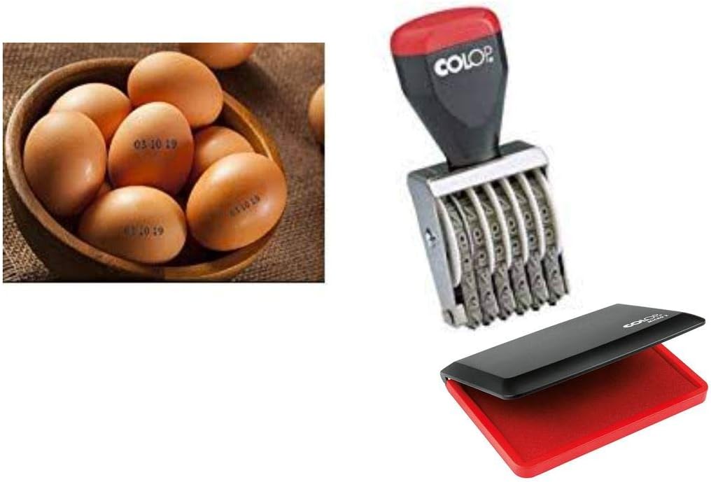 COLOP Date Stamp 04000 Months in Numbers, Print Height 4 mm, 108646 ...