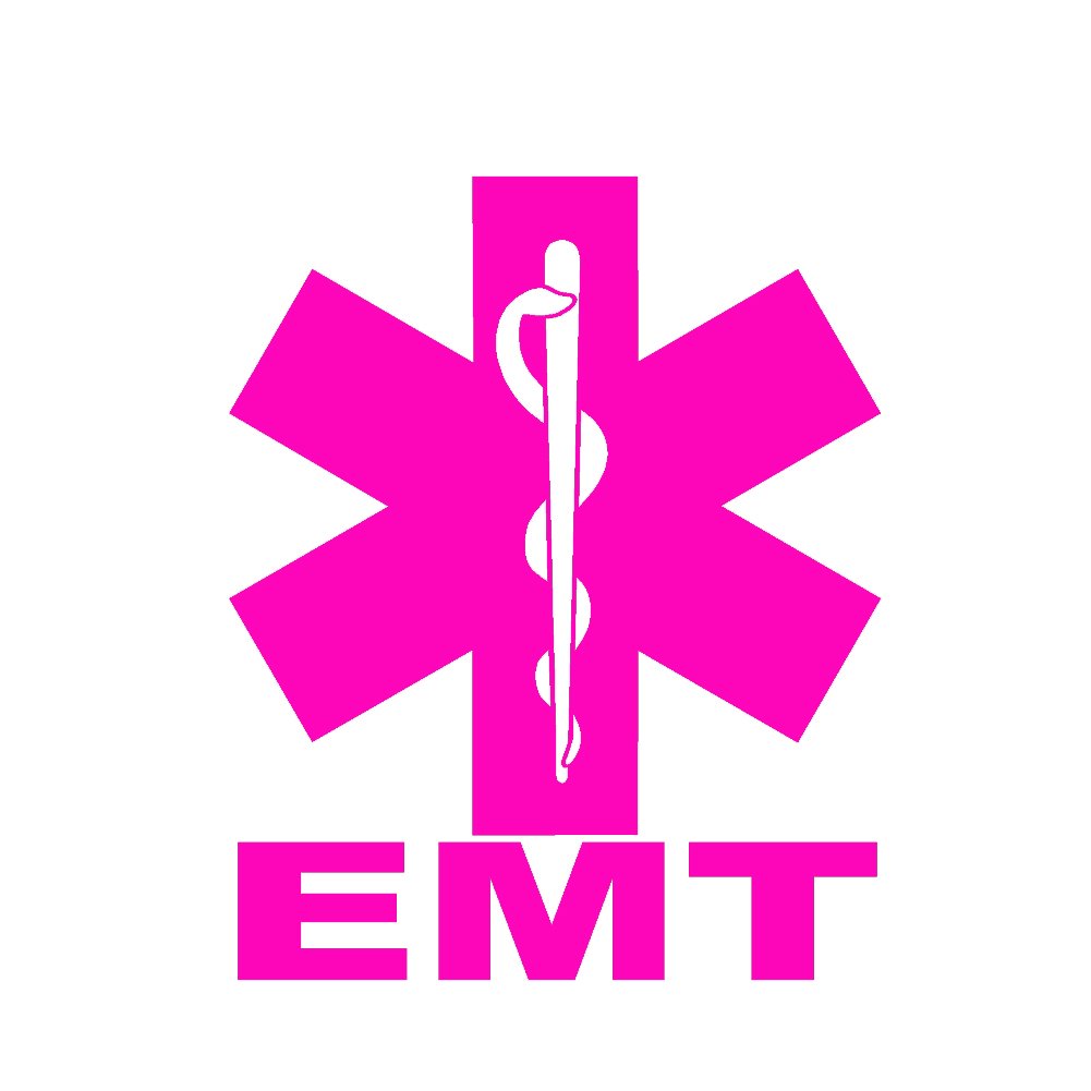 Pink Emt Logo